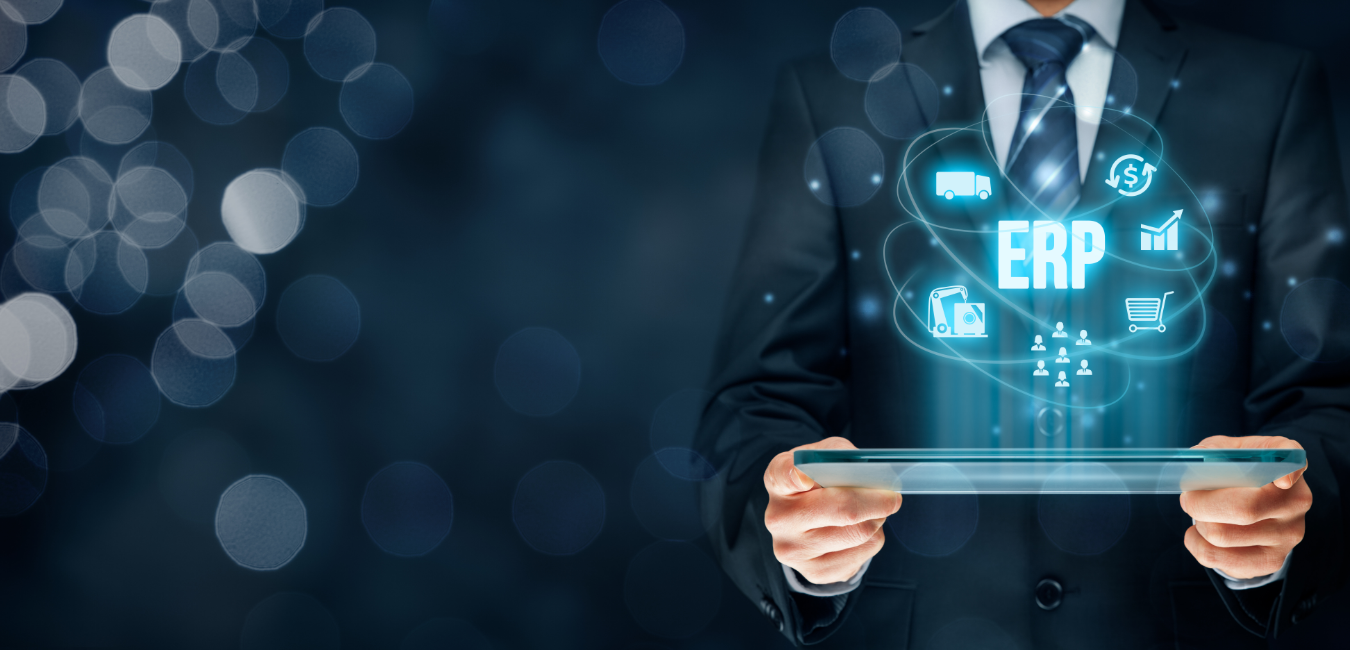 ERP Implementation – Mindzer Systems